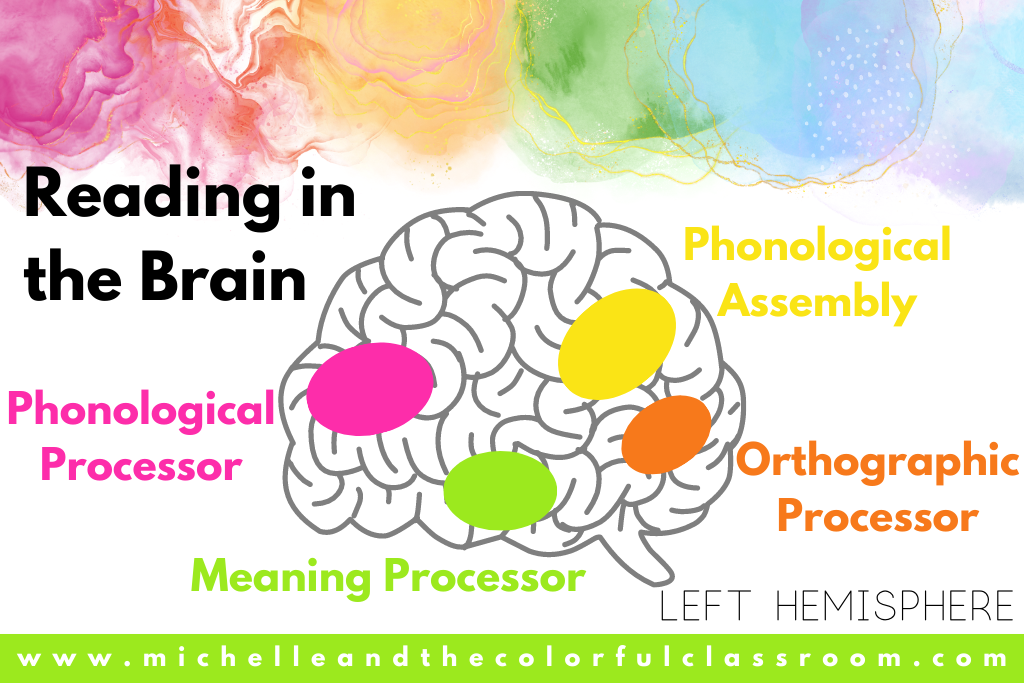 What is the Science of Reading? - The Colorful Classroom